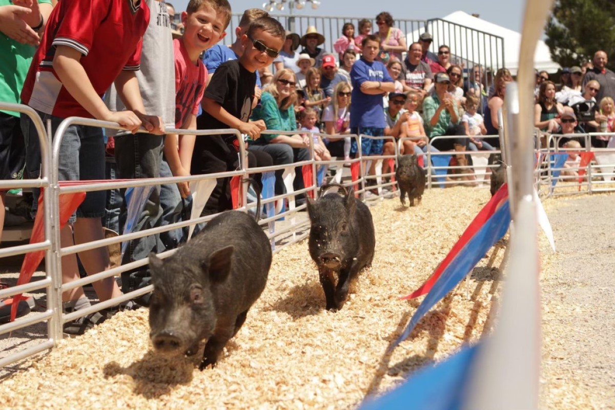 Carnival rides, festival food and duck races: Montgomery County Fair ...