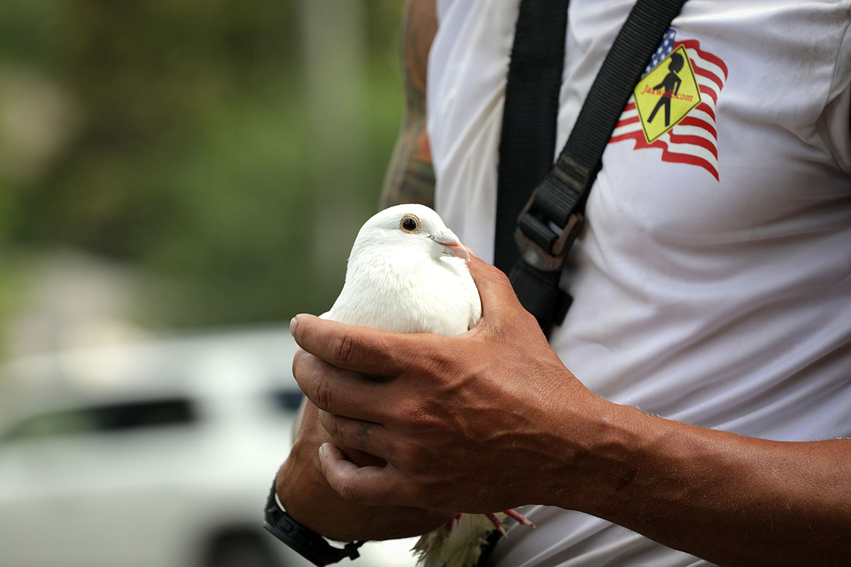 Army veteran walks over 1,500 miles, releases doves for fallen and ...