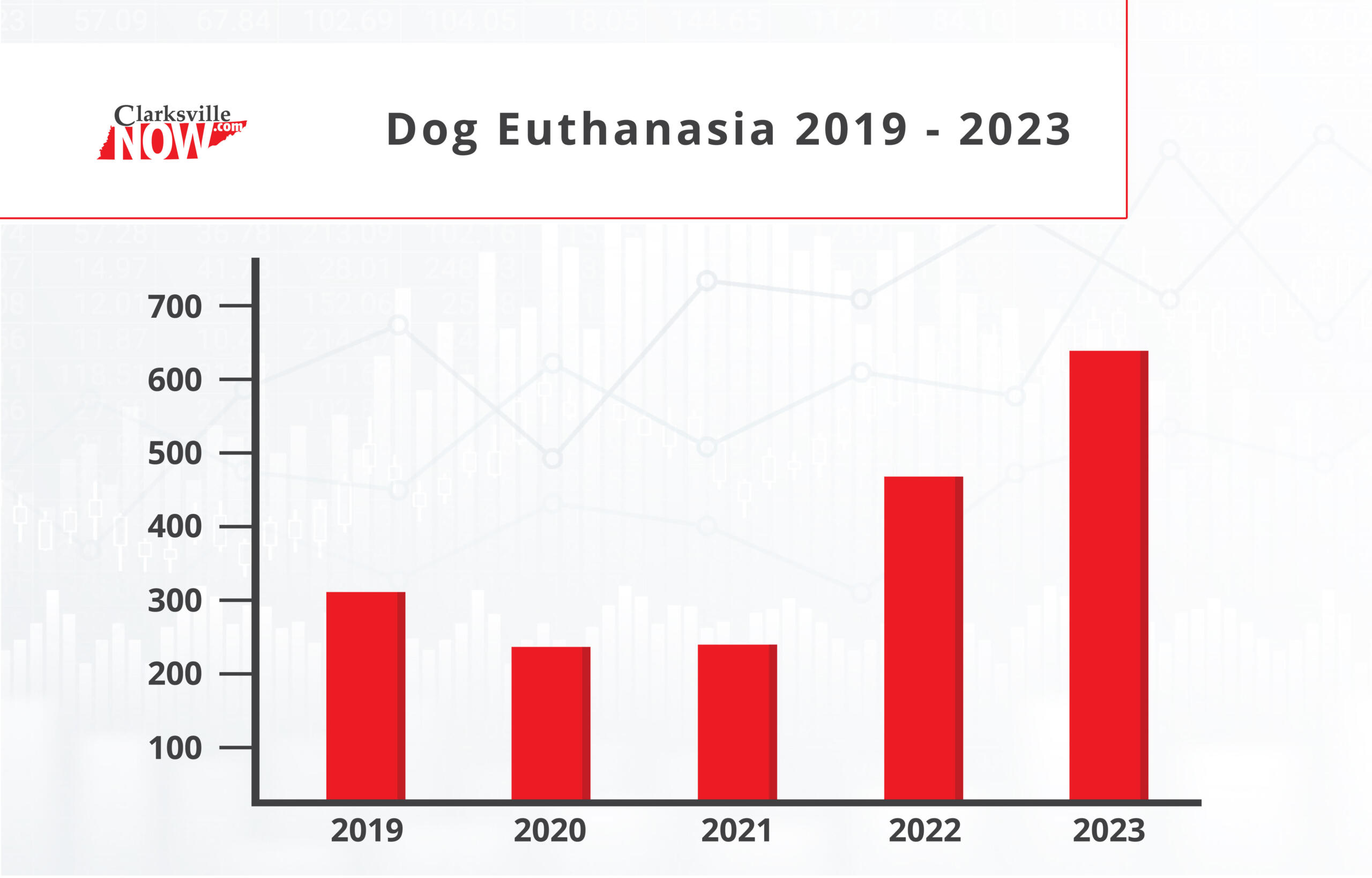 Dog euthanasia skyrockets in Clarksville despite ‘no-kill’ efforts: ‘Our intakes just kept going ...