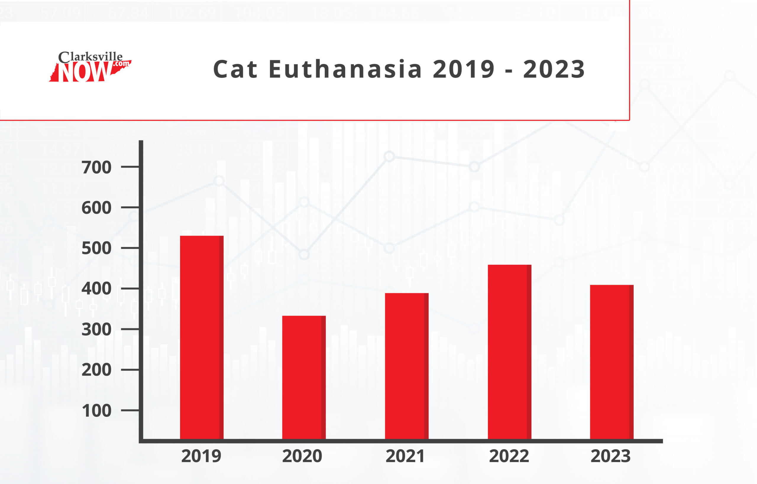 Dog euthanasia skyrockets in Clarksville despite ‘no-kill’ efforts ...
