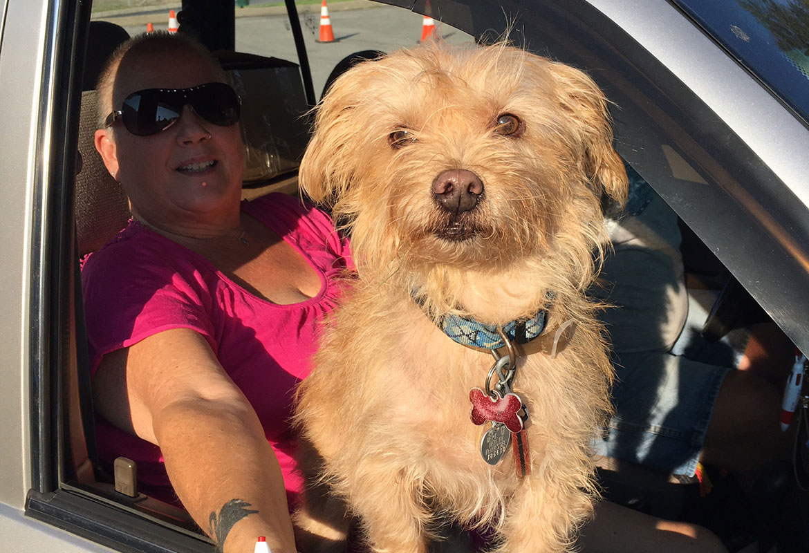 Humane Society to host drive-thru rabies clinic - ClarksvilleNow.com