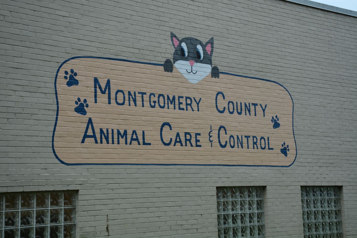 Animal Care and Control to discuss new shelter location at public ...