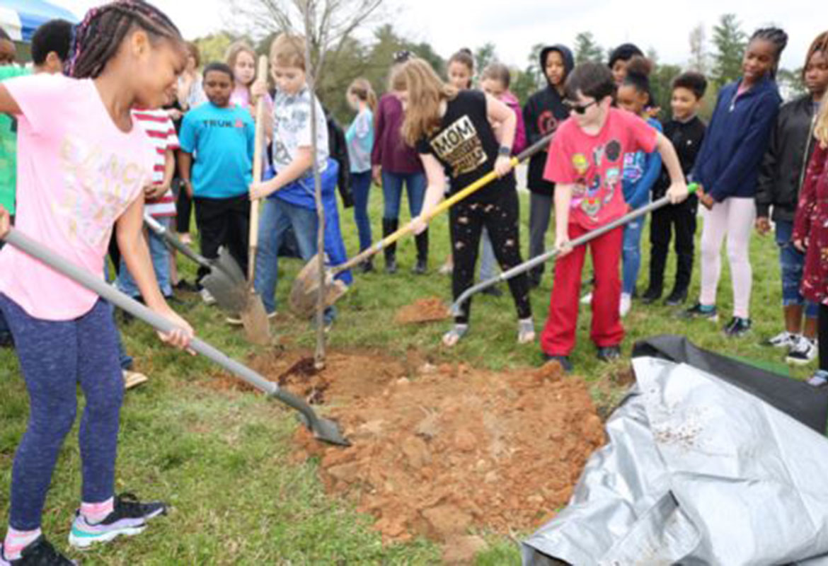 CDE Lightband named 2019 Tree Line USA by Arbor Day Foundation ...