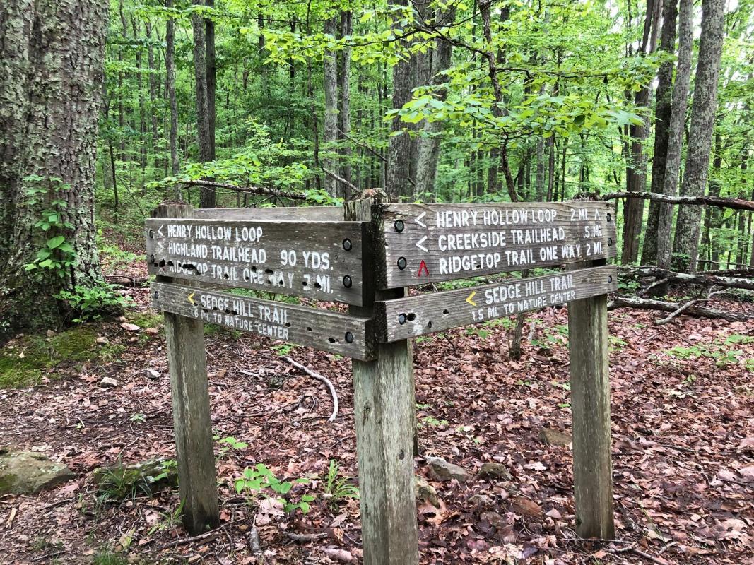 Beaman Park provides unplugged getaway with family - ClarksvilleNow.com