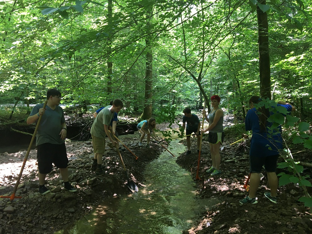 Tennessee State Parks Host Service Events For Tennessee Promise ...