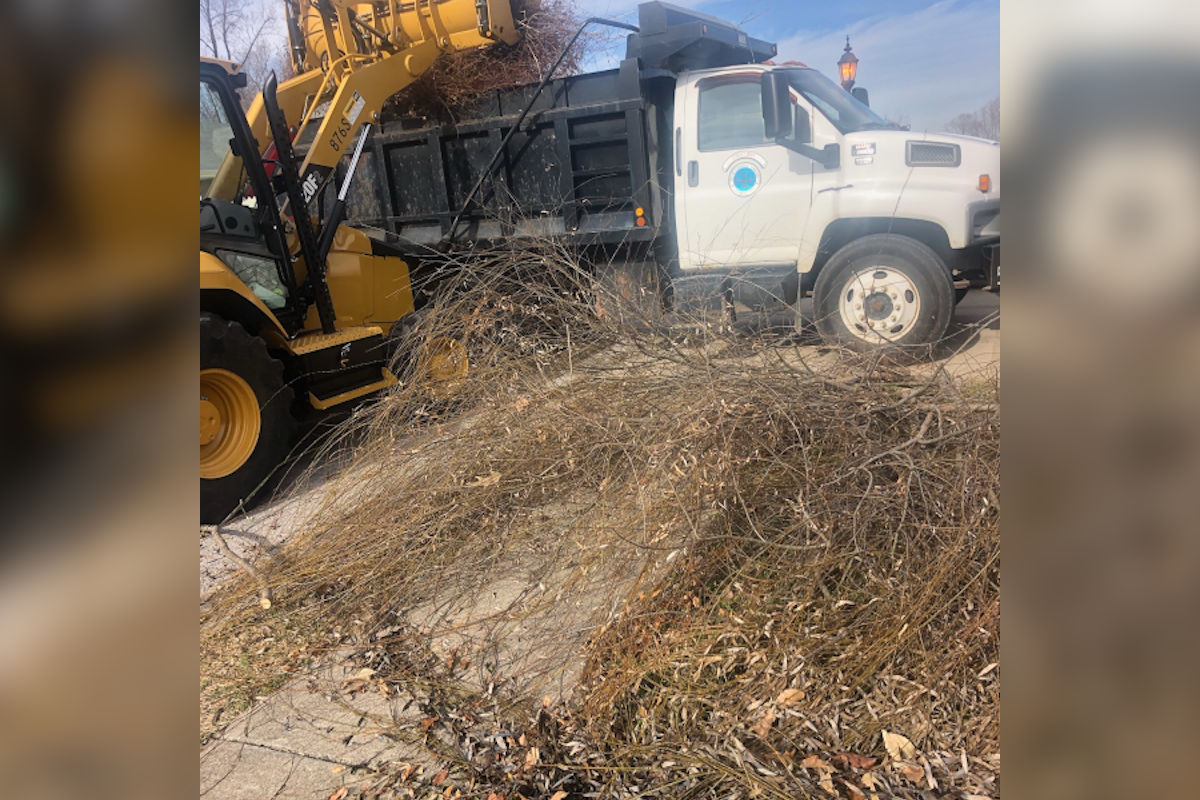 Citywide storm debris removal continues, crews making steady progress ...