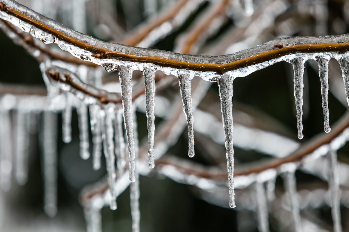 UPDATE: Ice Storm Warning issued for Montgomery County starting ...