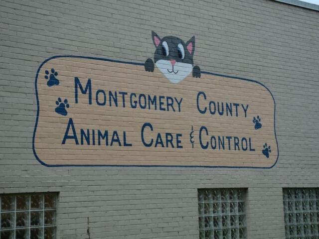 Microchip scanning station donated to Montgomery County Animal Care and ...