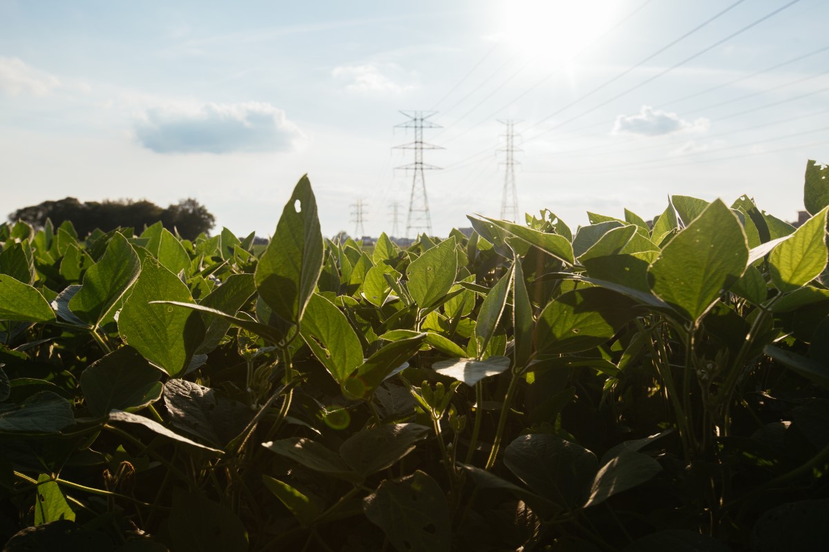 EDC focuses on redevelopment districts to curb sprawl in Clarksville ...