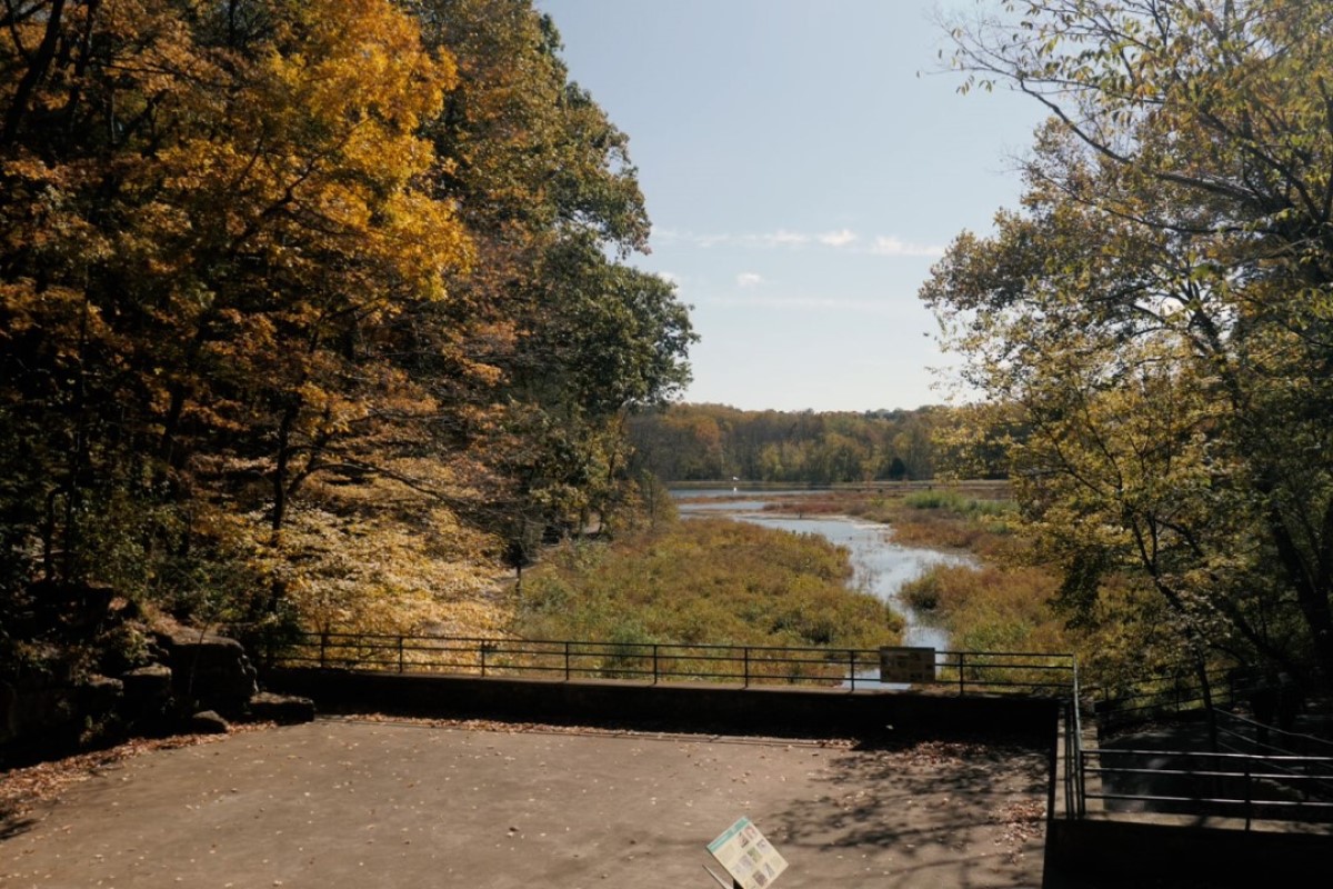 Why state officials think draining Swan Lake would be good for Dunbar ...