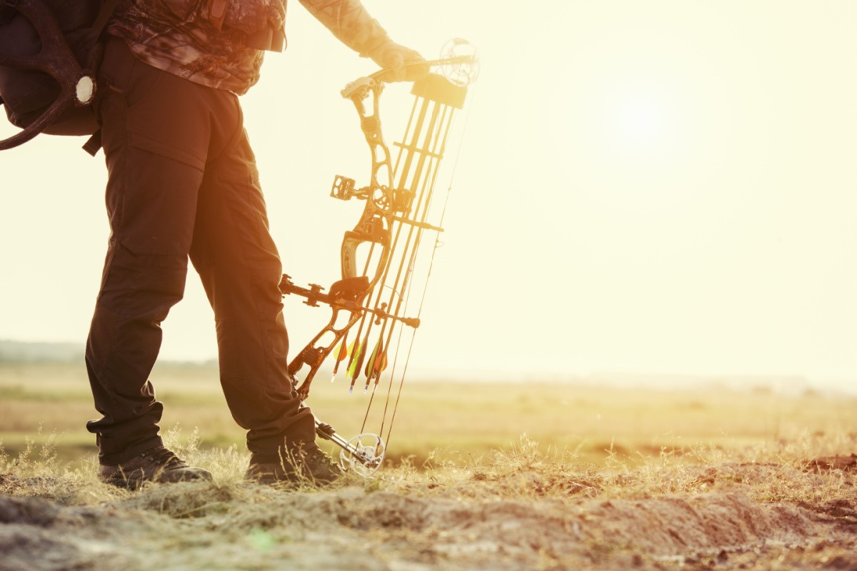 Land Between the Lakes opens additional areas to archery hunting ...