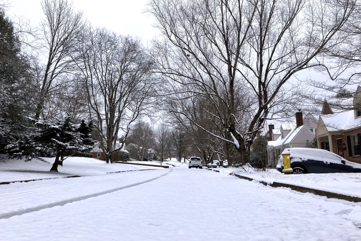 UPDATE: Low of 5 degrees expected tonight, Wind Chill Advisory issued ...