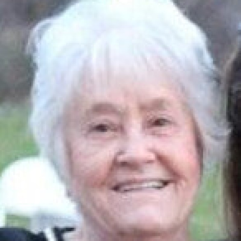 Linda Jane Shepherd - ClarksvilleNow.com