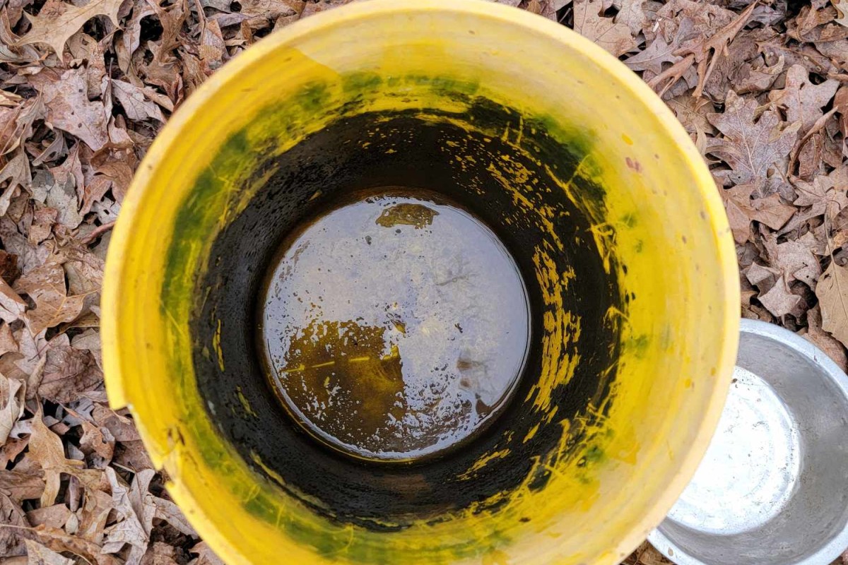 37 dogs found in ‘deplorable’ condition at Indian Mound rescue ...