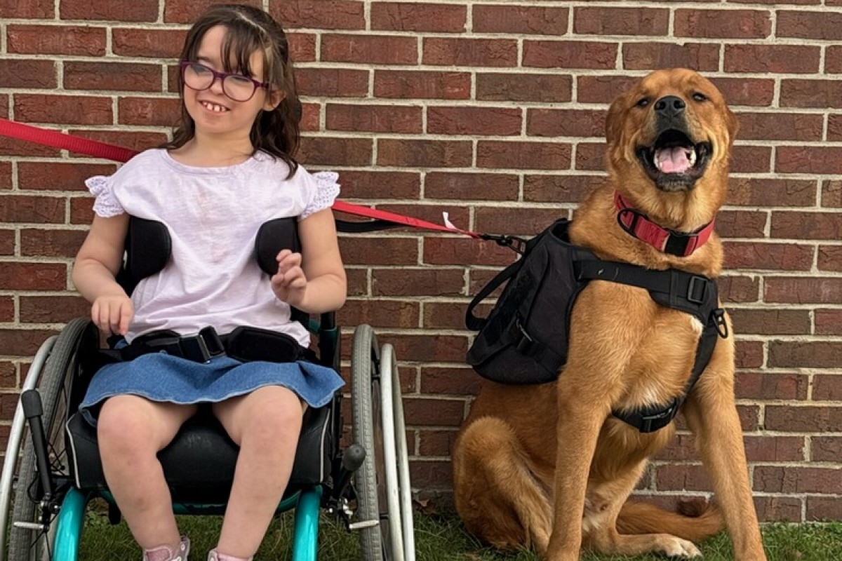Family hopes shelter dog turned service animal can help 7-year-old girl ...