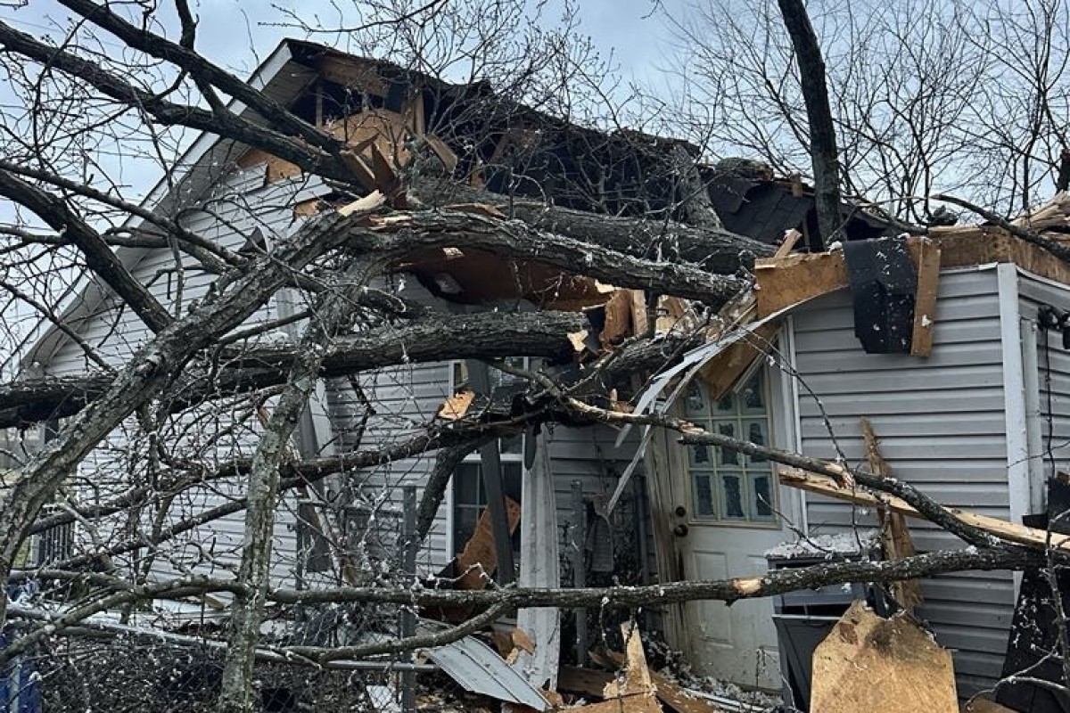 15-year-old saves 3 siblings as tree falls on house in Clarksville ...