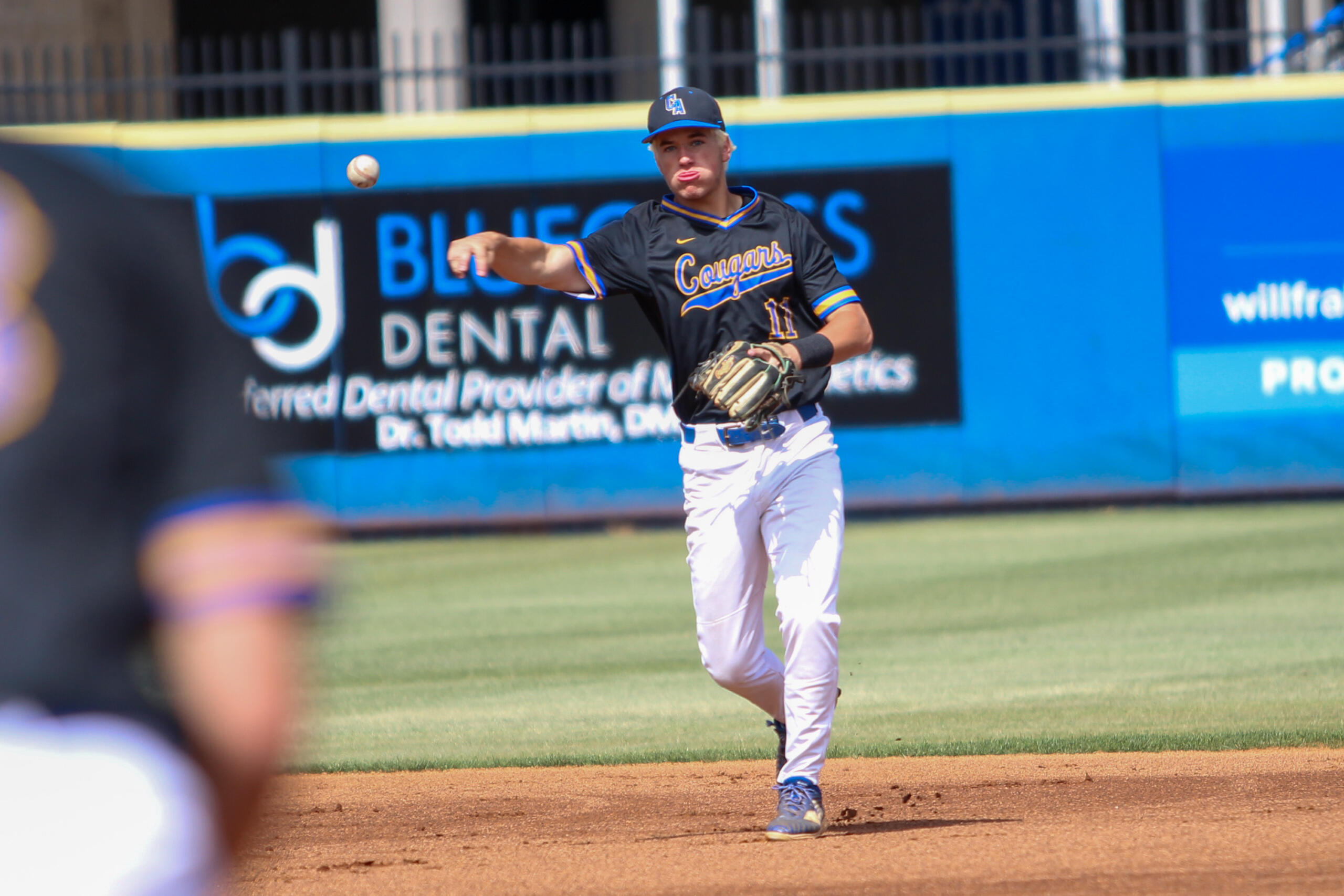 6 Clarksville-area baseball players earn TBCA All-State honors ...