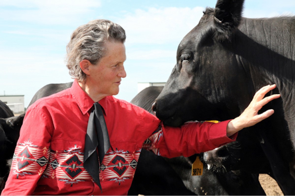 Autism advocate Dr. Temple Grandin to visit APSU for book signing ...